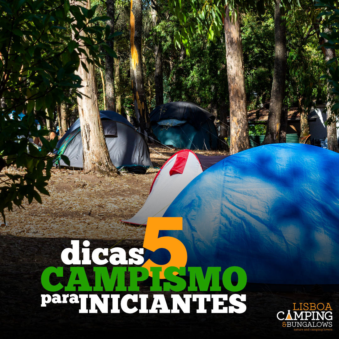 5 Tips for Camping Beginners - Lisboa Camping