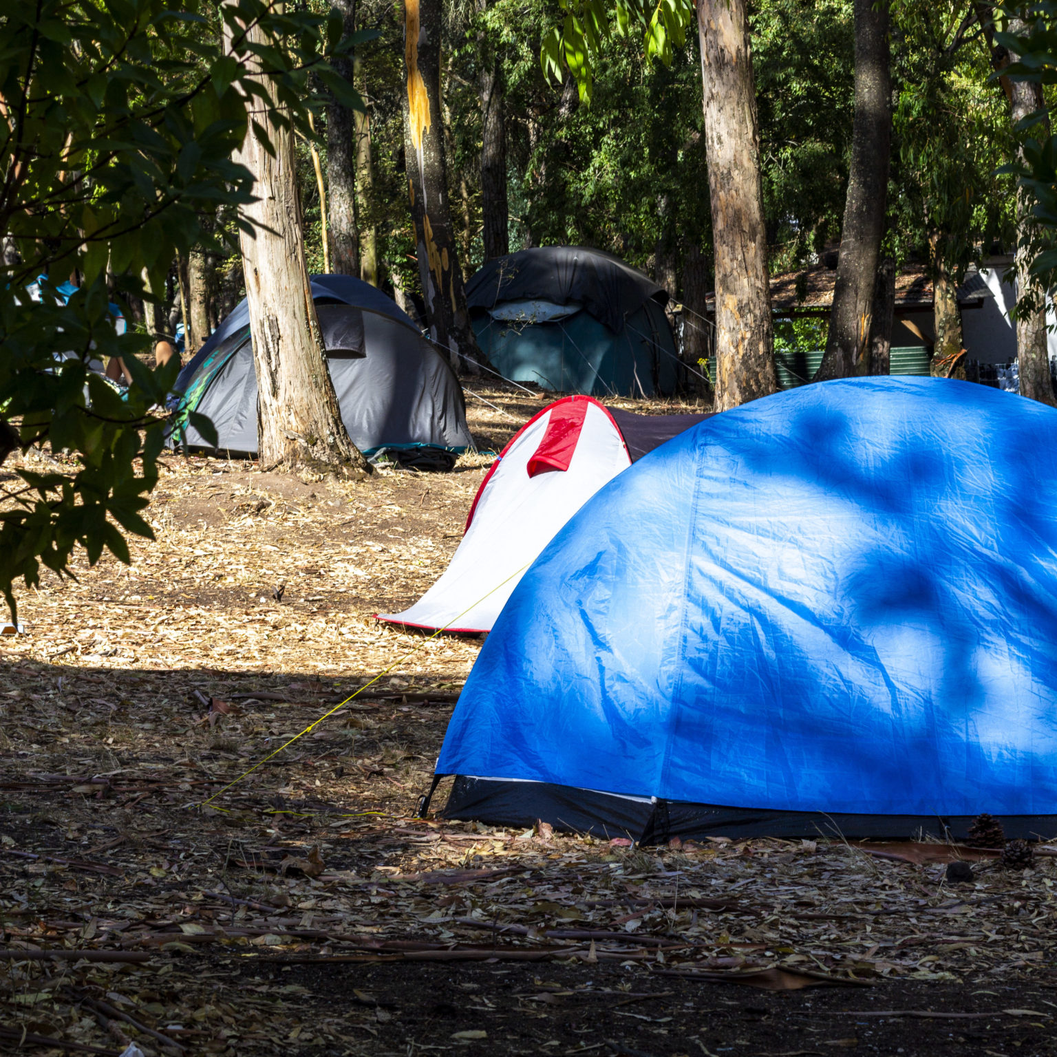 5 Tips for Camping Beginners - Lisboa Camping