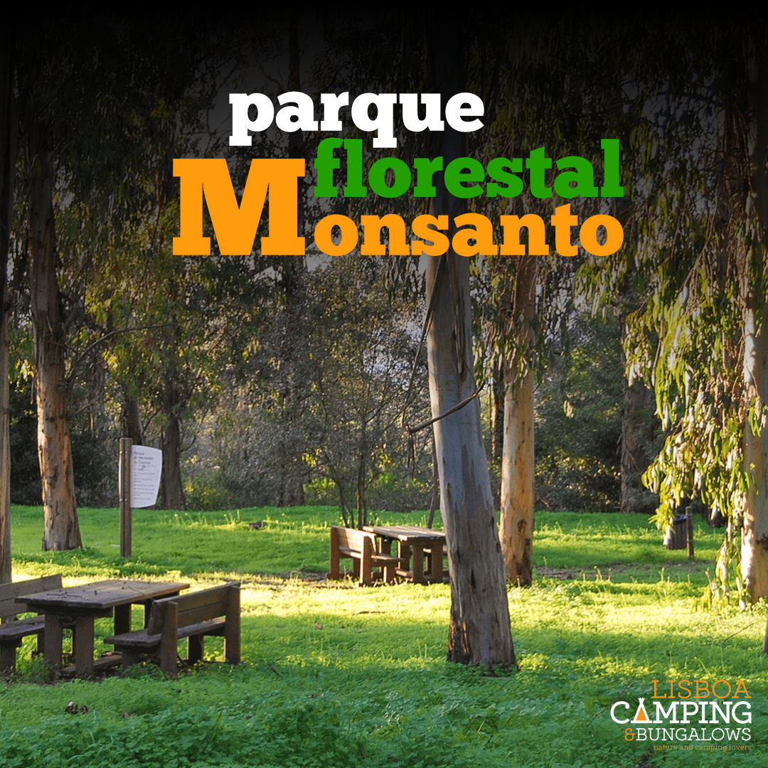 Parque Florestal de Monsanto - o Tesouro Verde de Lisboa!